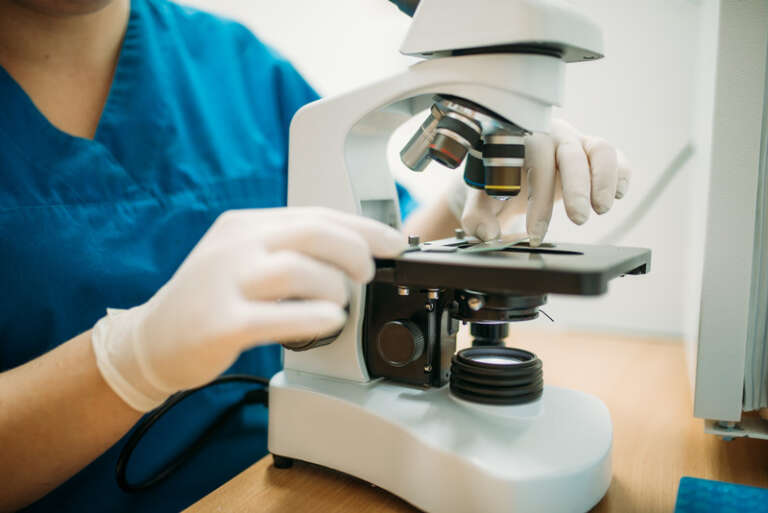 Why Early Diagnosis Matters for Pet Health – Vetlesions Veterinary ...